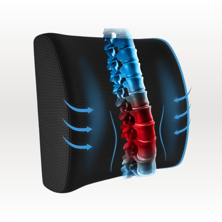 Mal au Coccyx : Nos solutions pour s'asseoir sans douleur | Cellsius ...